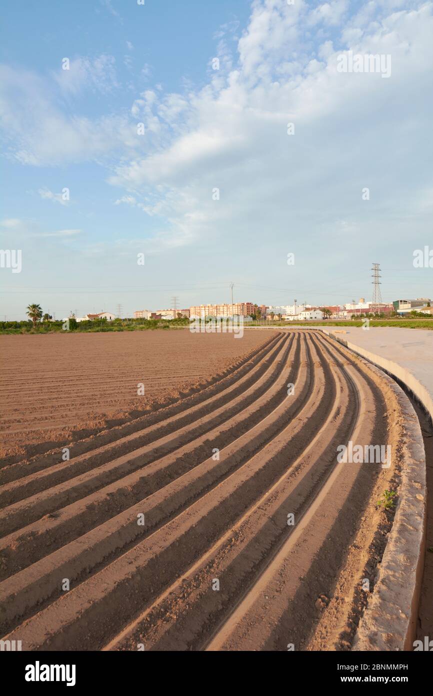 Agriculture field prepared for planting, Small mountains, blue sky ...