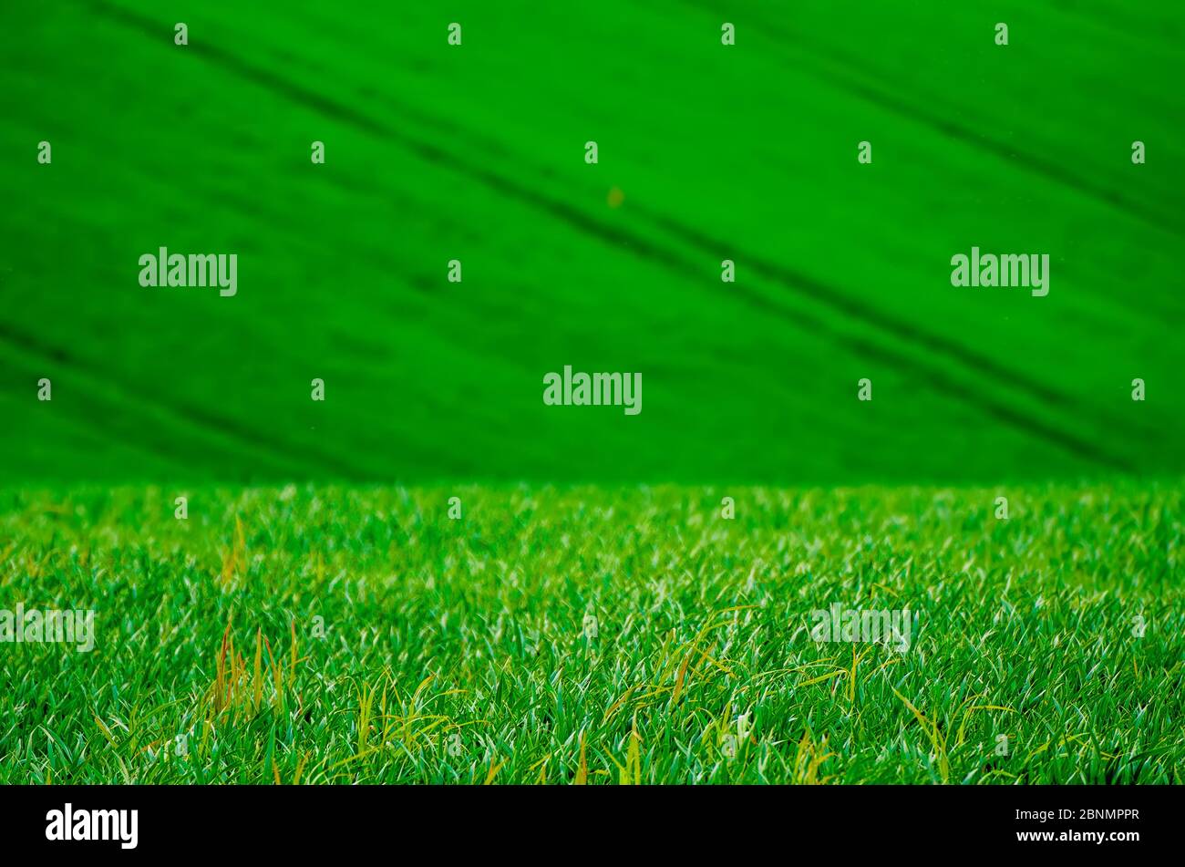 Rolling hills with fields suitable for backgrounds or wallpapers ...