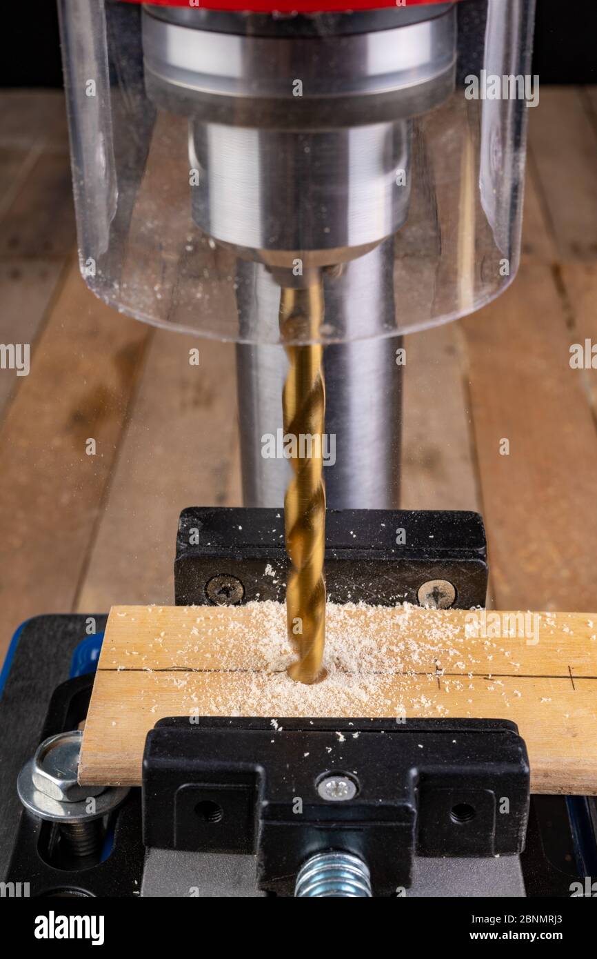 Drilling in wood with professional tools. Work on a bench drill ...