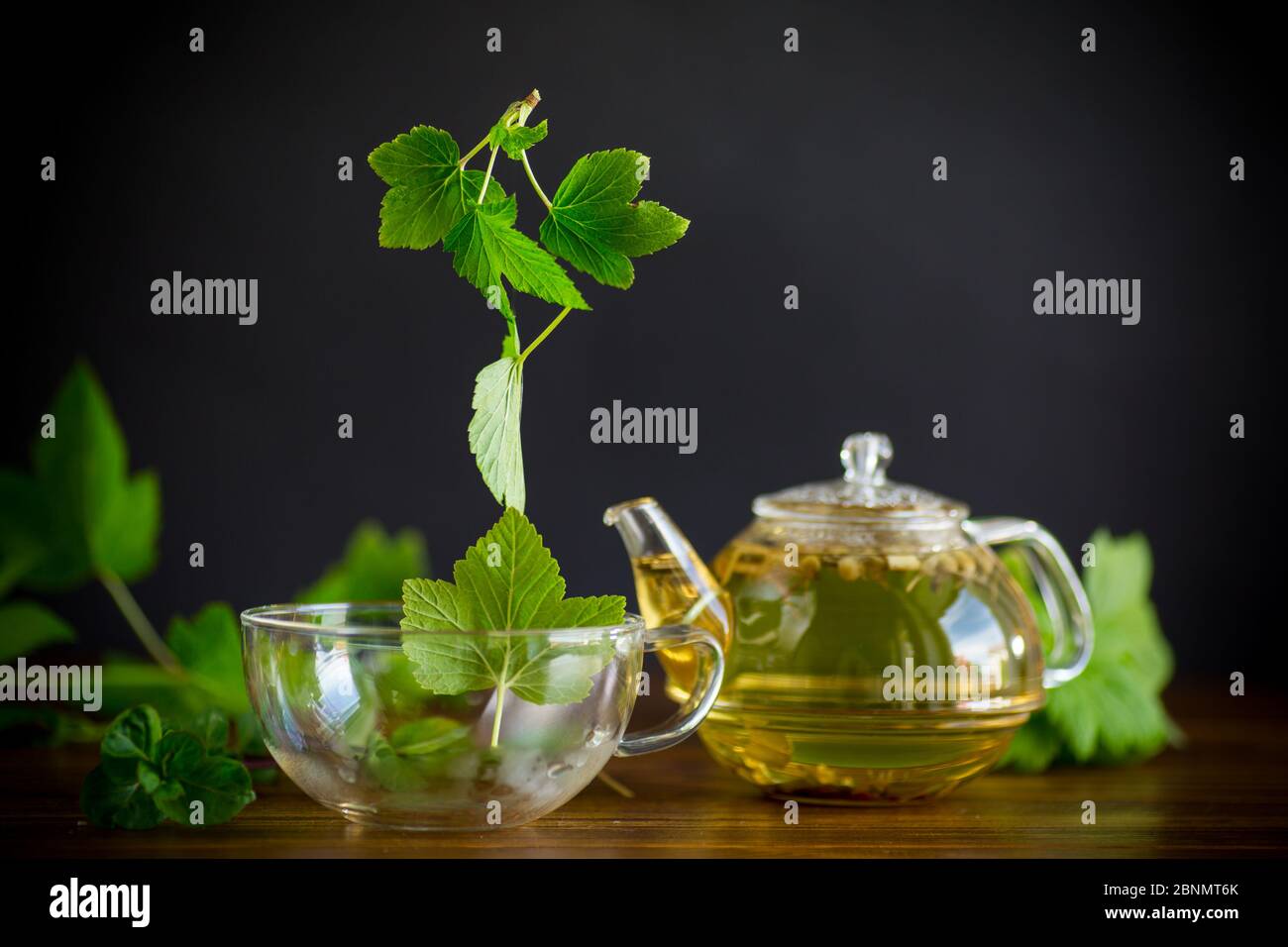 summer refreshing organic tea from currant leaves in a glass teapot ...