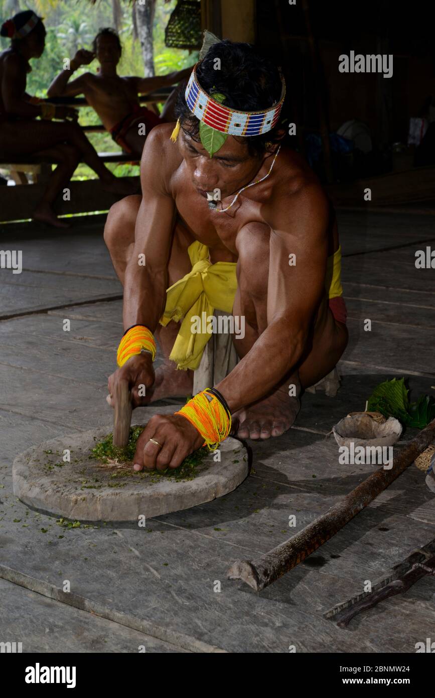 Poison arrows hi-res stock photography and images - Alamy