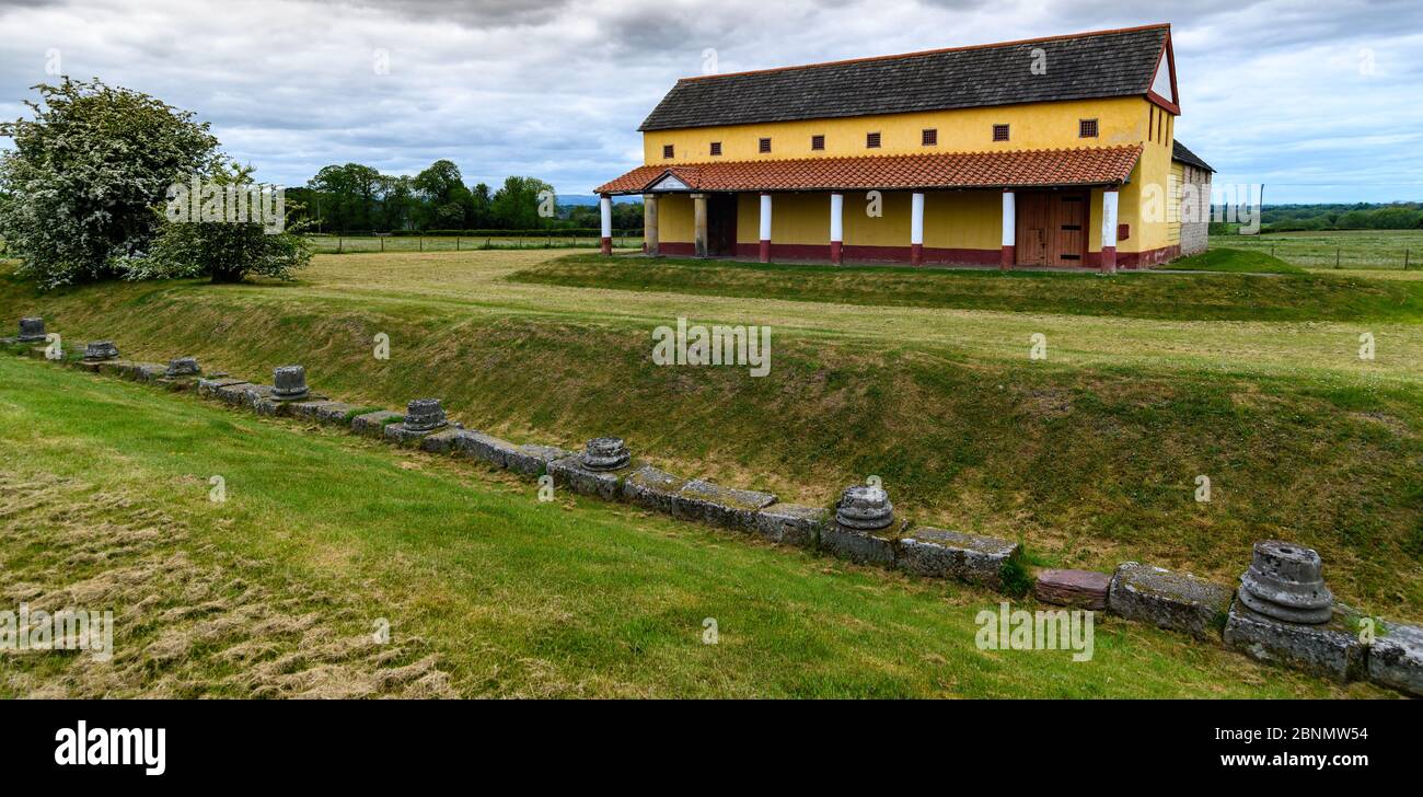 Roman Wroxeter, Shropshire, England Stock Photo - Alamy