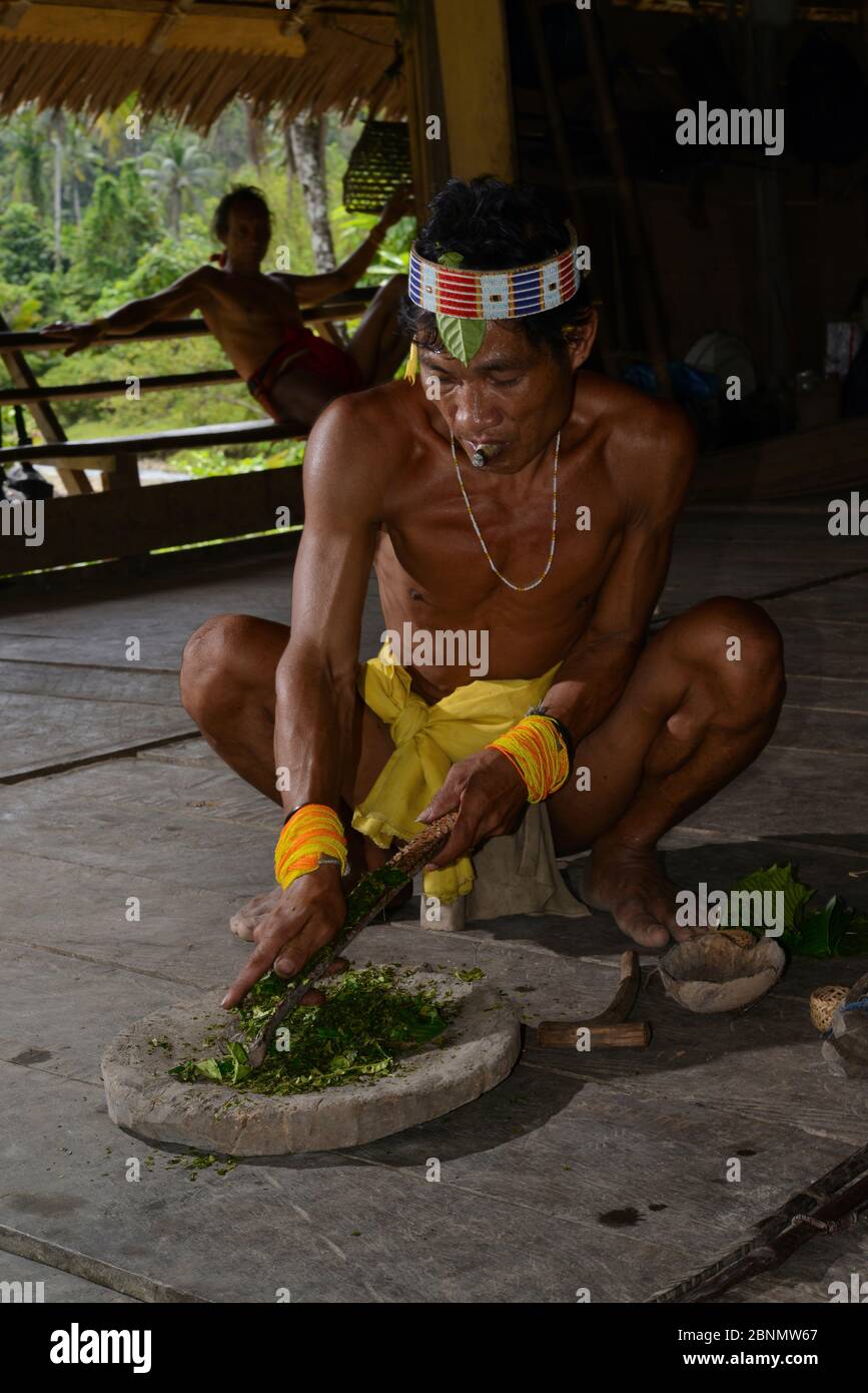 Poison arrows hi-res stock photography and images - Alamy