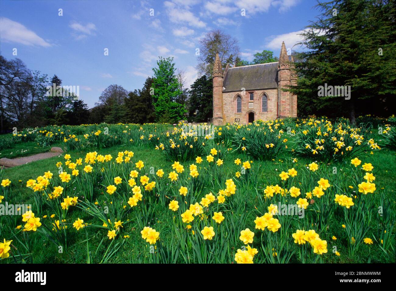 Moot boot hill hi-res stock photography and images - Alamy