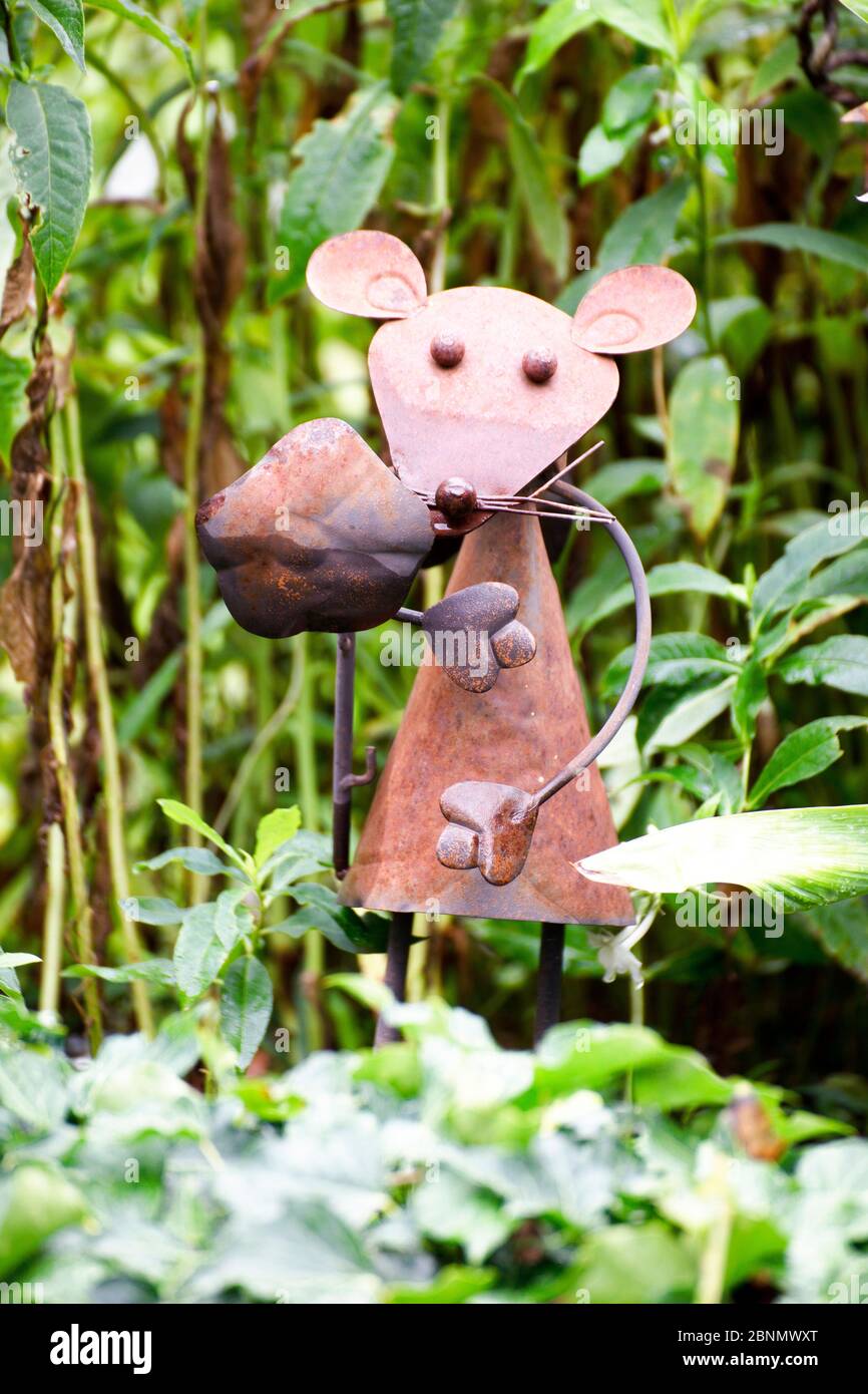 Mouse garden hi-res stock photography and images - Alamy