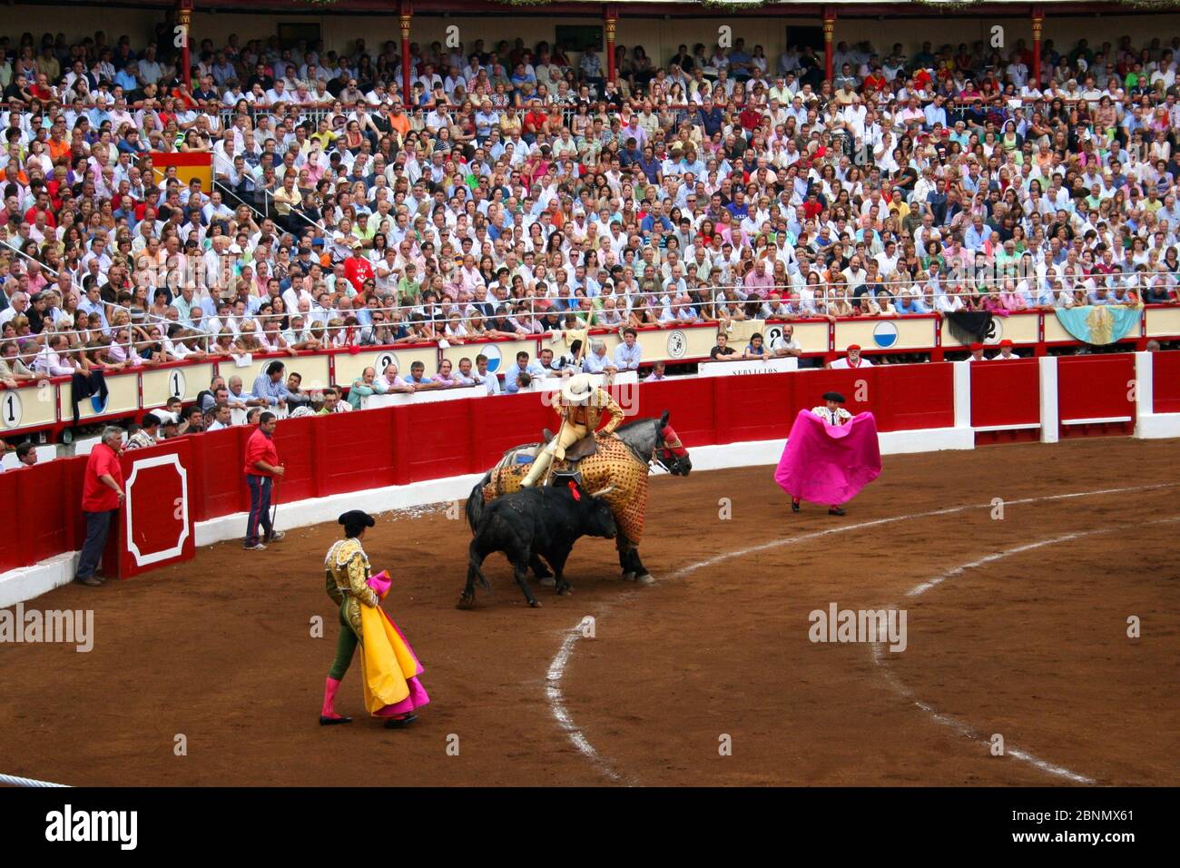 Picador or lancer on horseback with black bull charging Santander ...