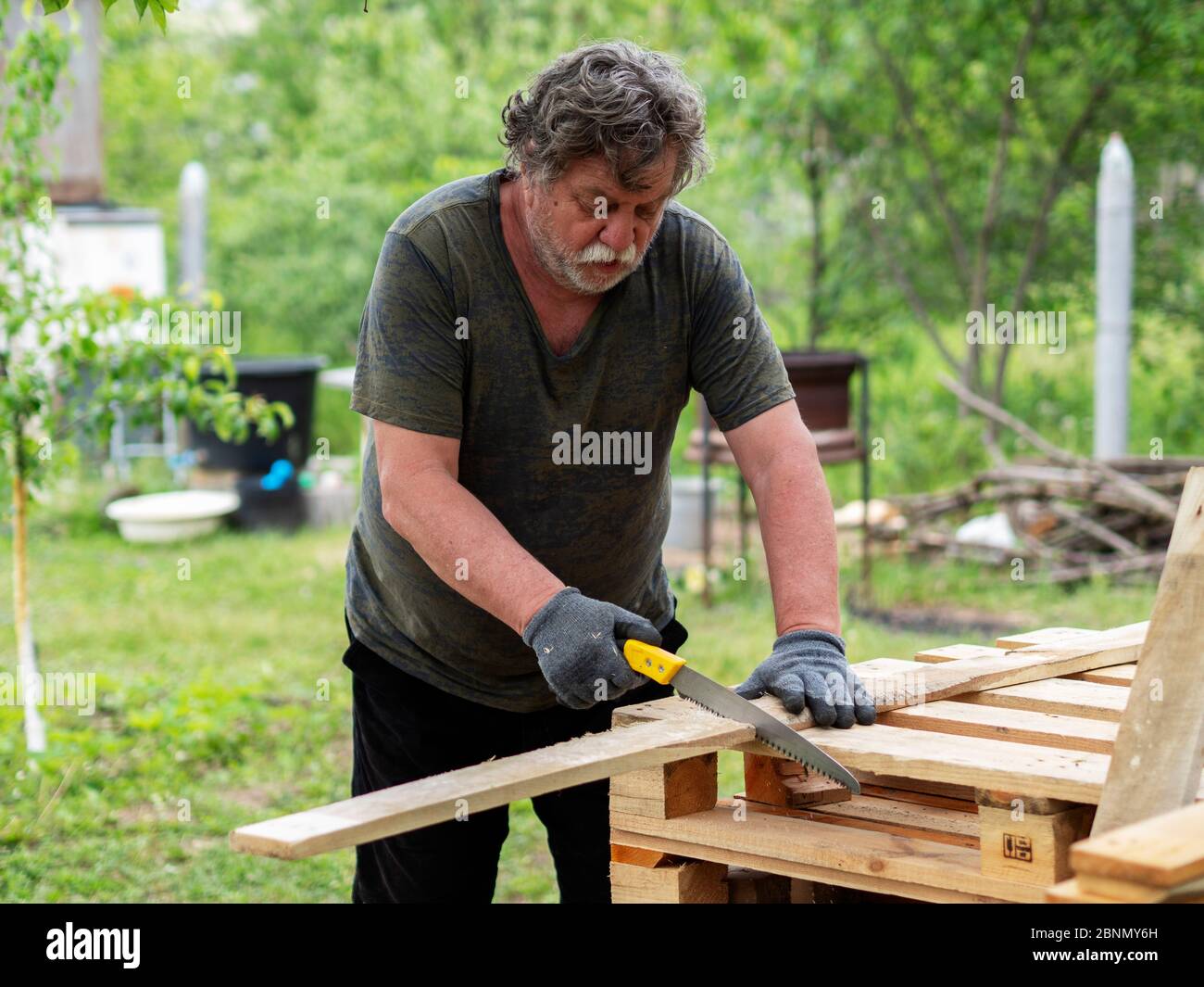 Mature Caucasian Man Sawing A Pine Board In The Garden Stock Photo Alamy