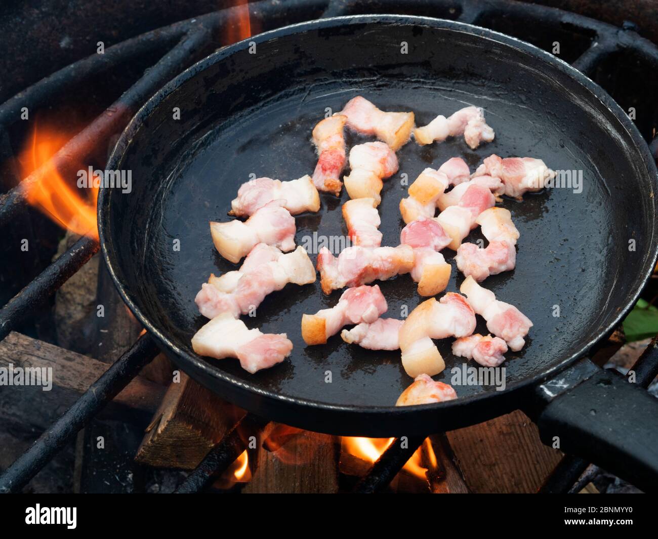Pork fat is fried in a pan on the grill at the stake Stock Photo - Alamy