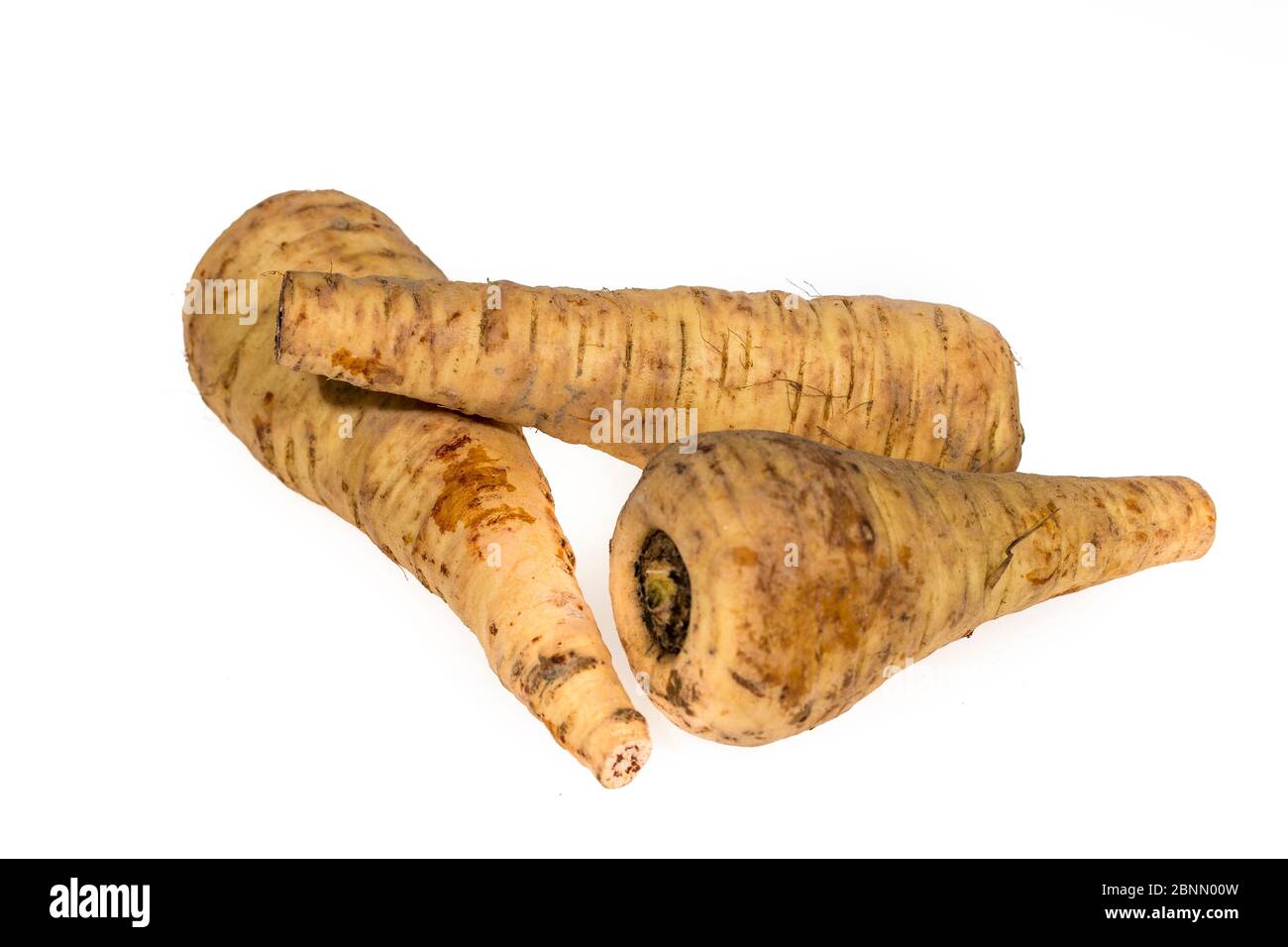 Wild parsnip seed hi-res stock photography and images - Alamy