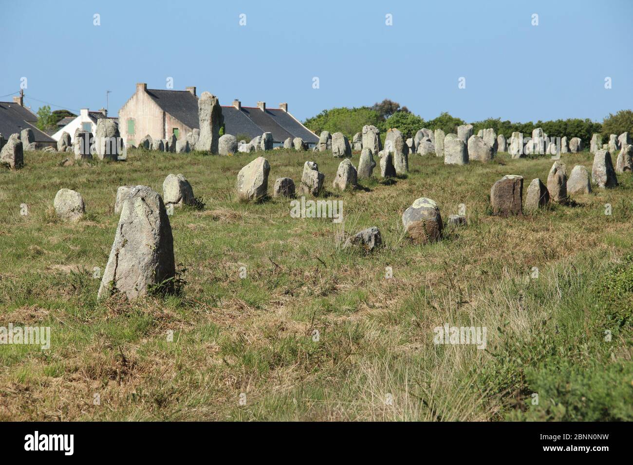Carnac stones in the Ménec alignment (Alignements de Ménec) near the ...