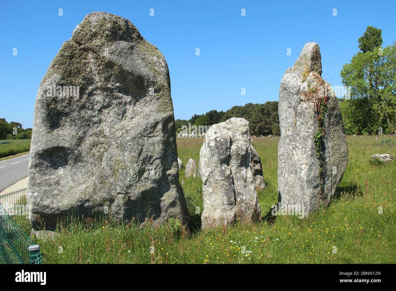 Carnac stones in the Kerlescan alignment (Alignements de Kerlescan ...