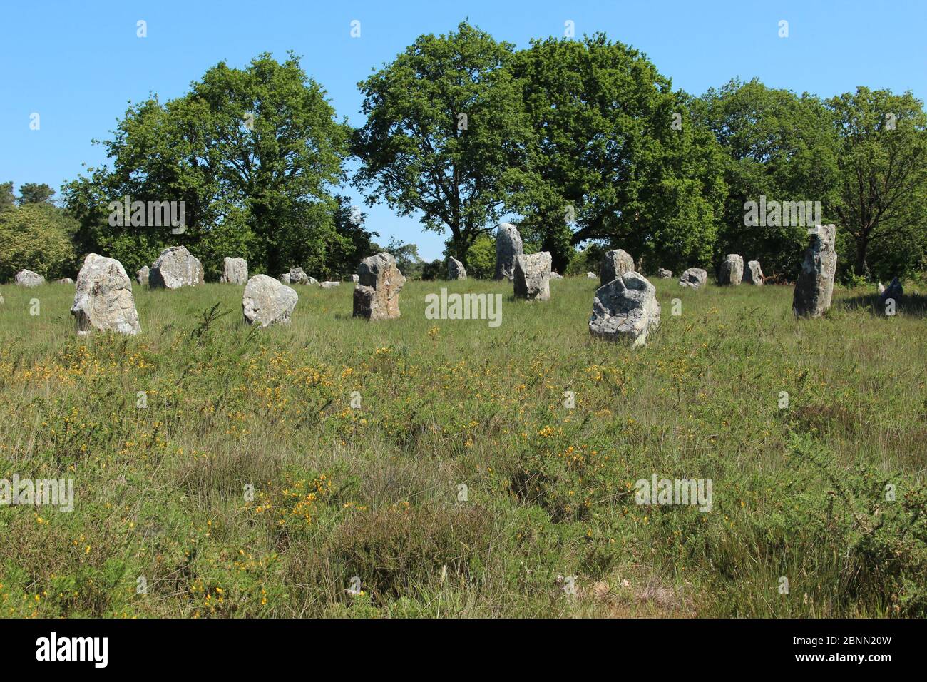 Carnac stones in the Ménec alignment (Alignements de Ménec) near the ...
