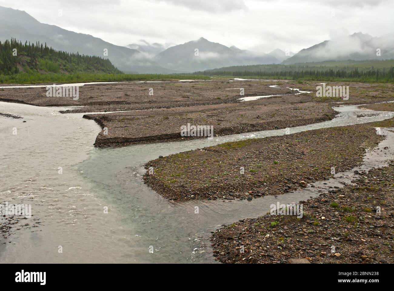 Shallow river in the summer, Alaskariveereedd Stock Photo - Alamy
