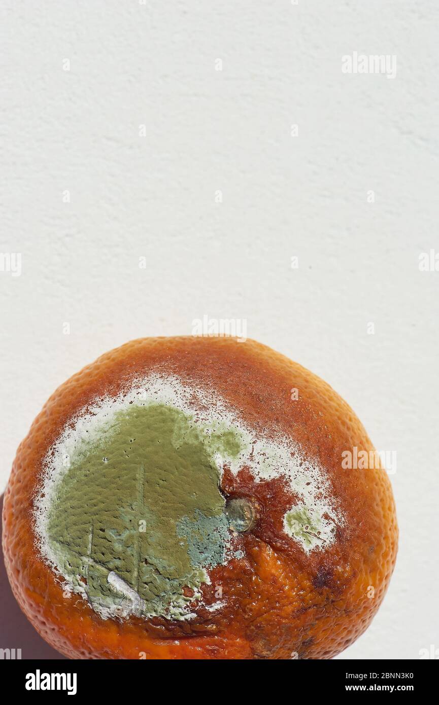 Ugly products hi-res stock photography and images - Alamy