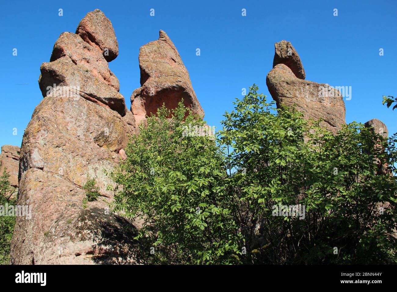 The amazing and interesting Belogradchik rocks in the spring sunshine ...