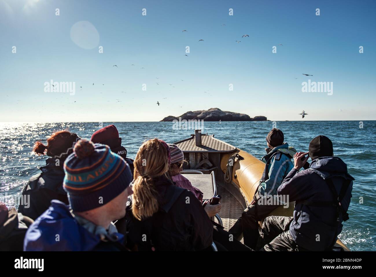 Team volunteers hi-res stock photography and images - Alamy