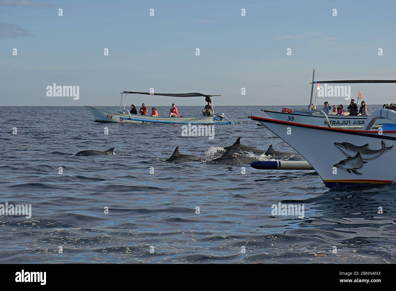 Some tourists in a boat are looking at some dolphins that swimming on ...