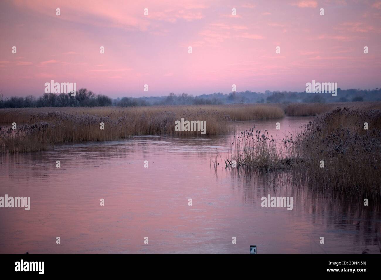 Strumpshaw fen landscape hi-res stock photography and images - Alamy