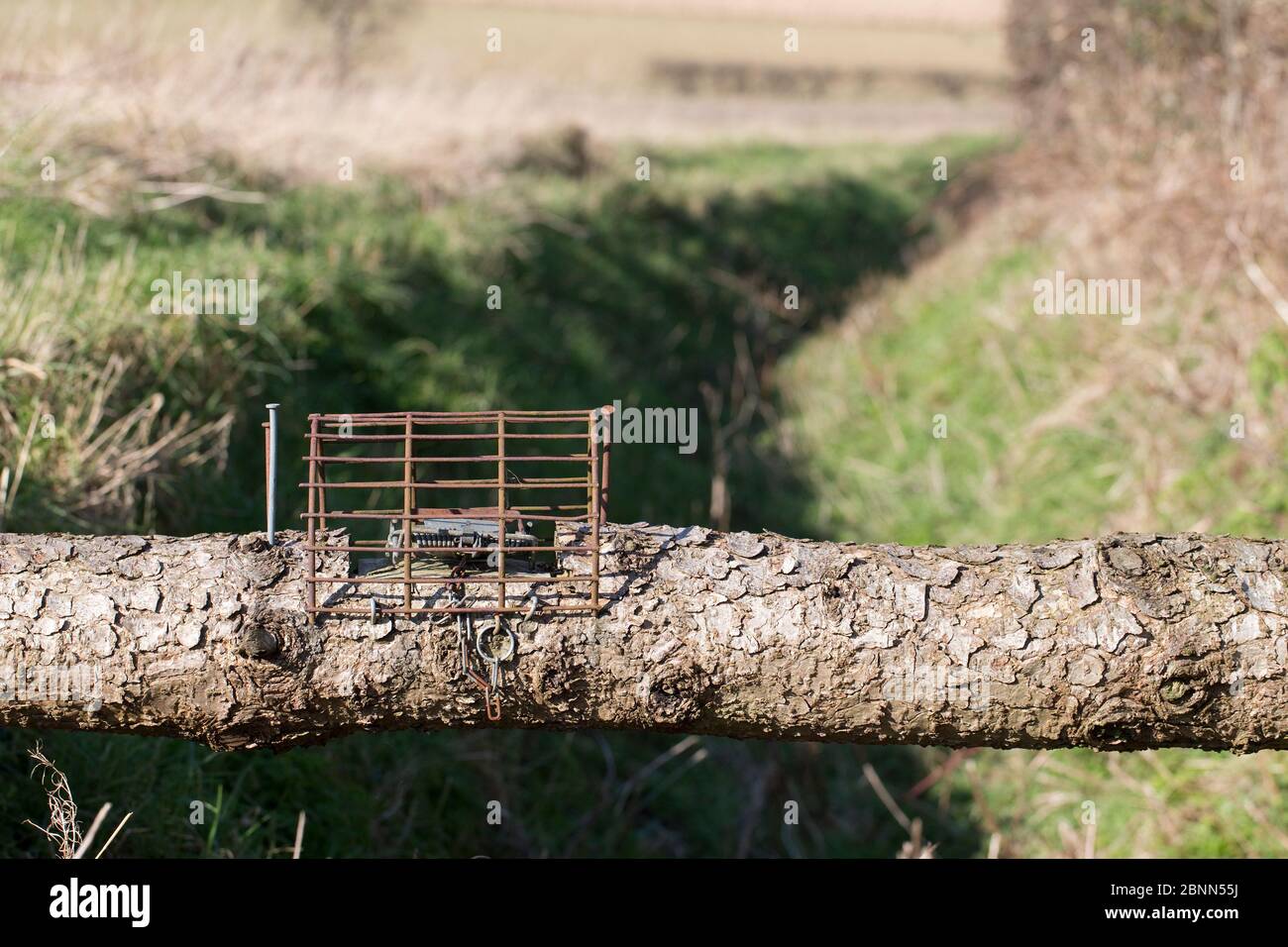 Fenn traps hi-res stock photography and images - Alamy