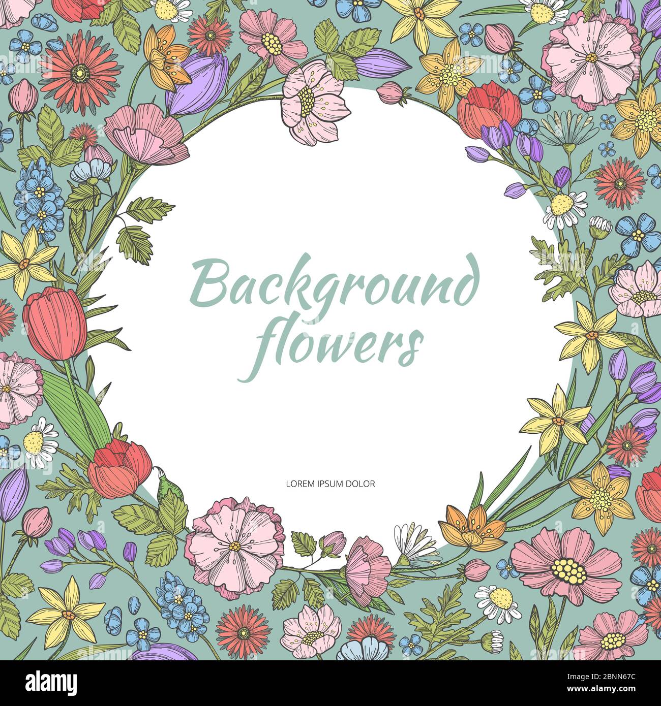 Circle background with flowers. Hand drawn pictures of various plants ...