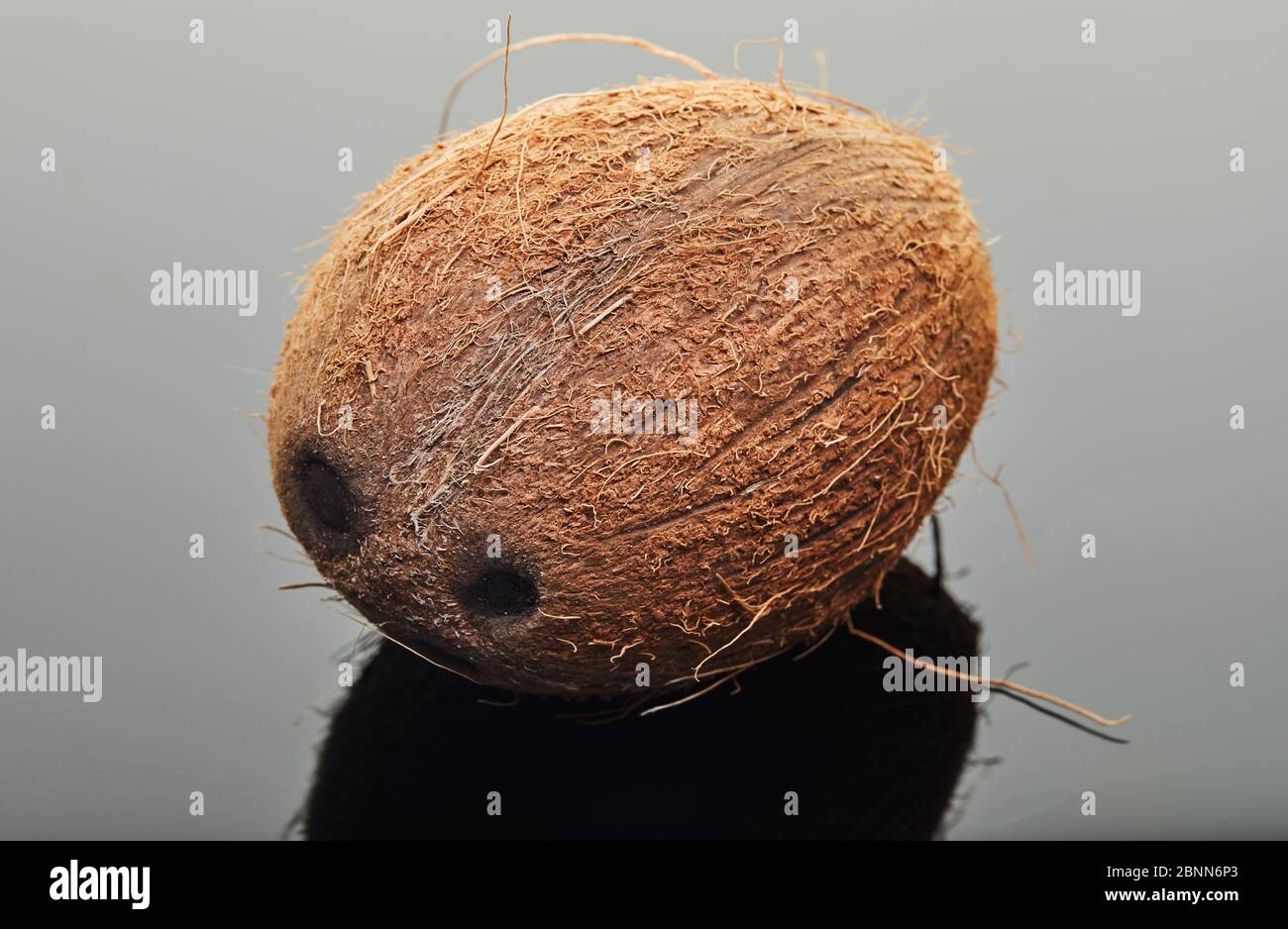 Fresh Coconut on a gray background with reflection. Vegan organic ...