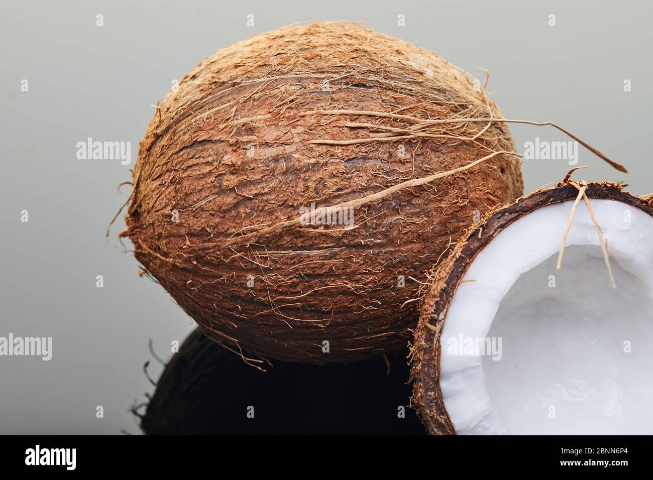 Fresh whole and half coconut on a gray background with reflection ...