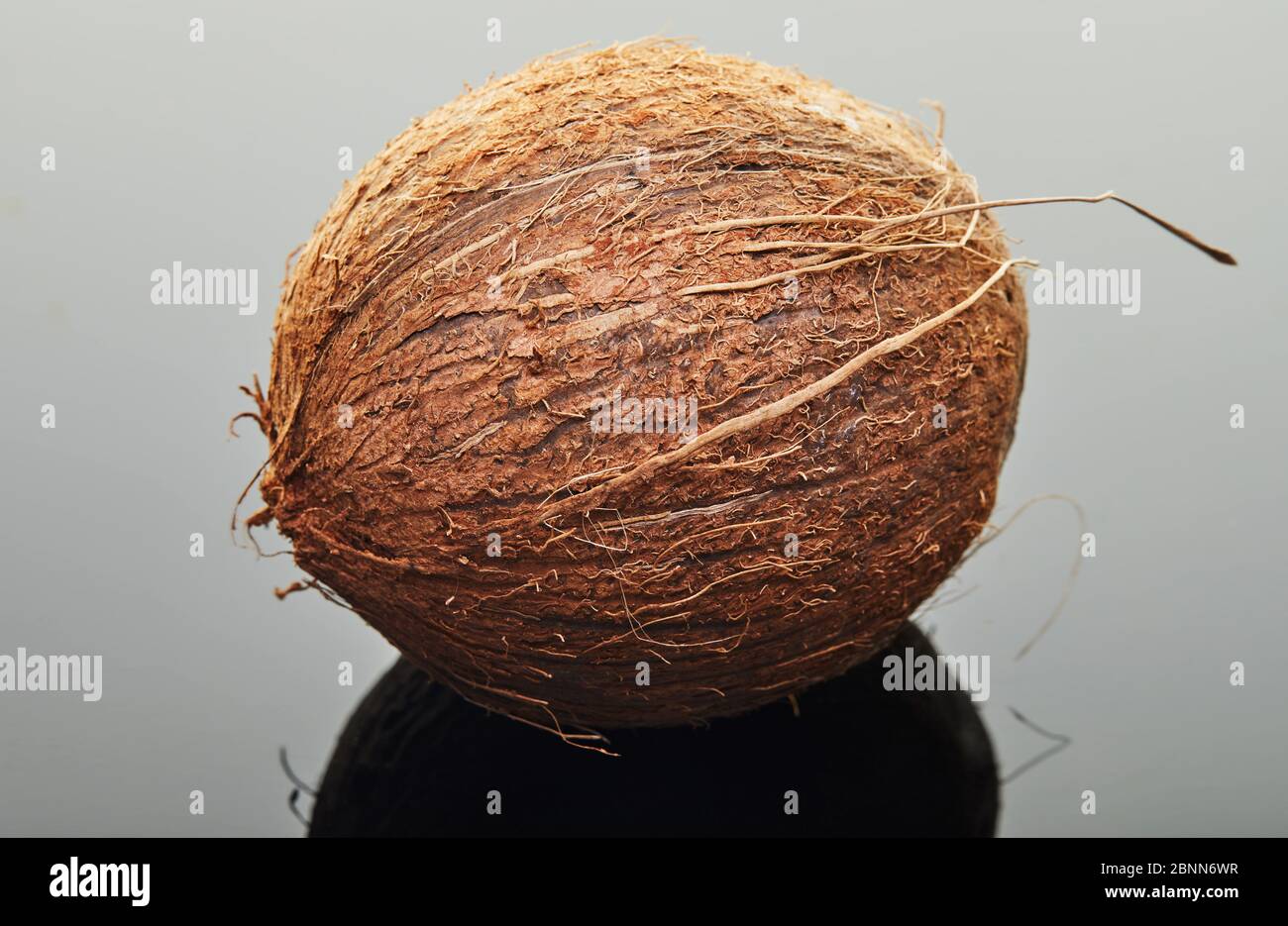 Fresh Coconut on a gray background with reflection. Vegan organic ...