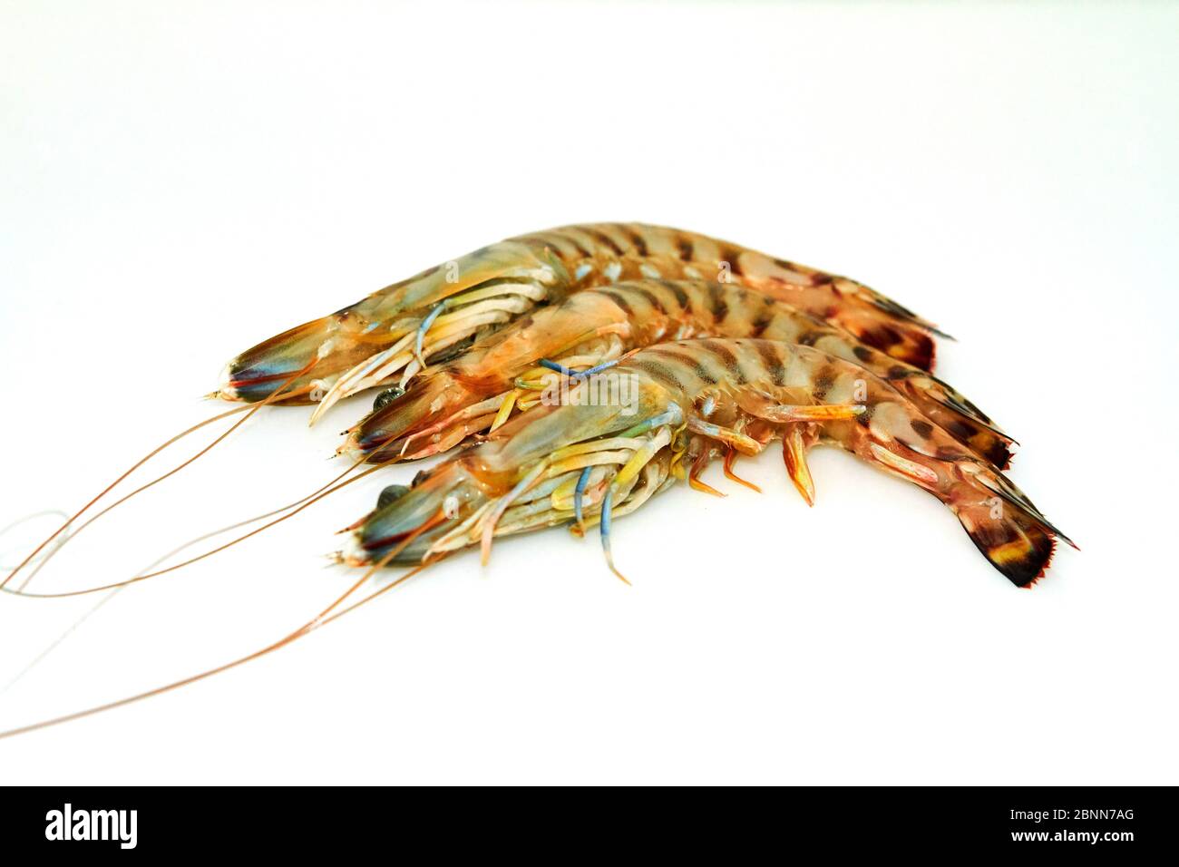 Raw tiger prawns isolated on white background Stock Photo - Alamy
