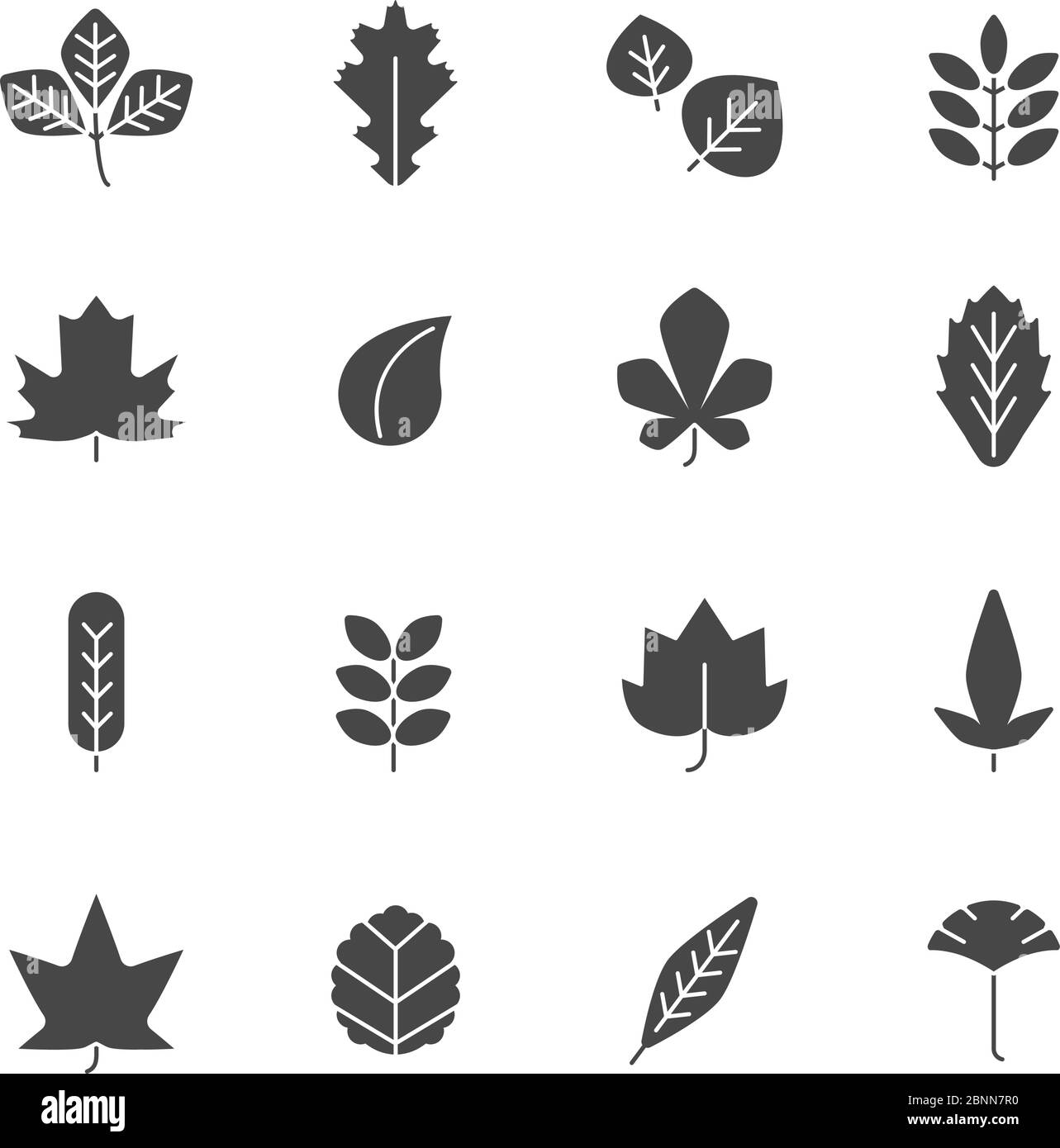 Autumn leaves collection object Black and White Stock Photos & Images ...