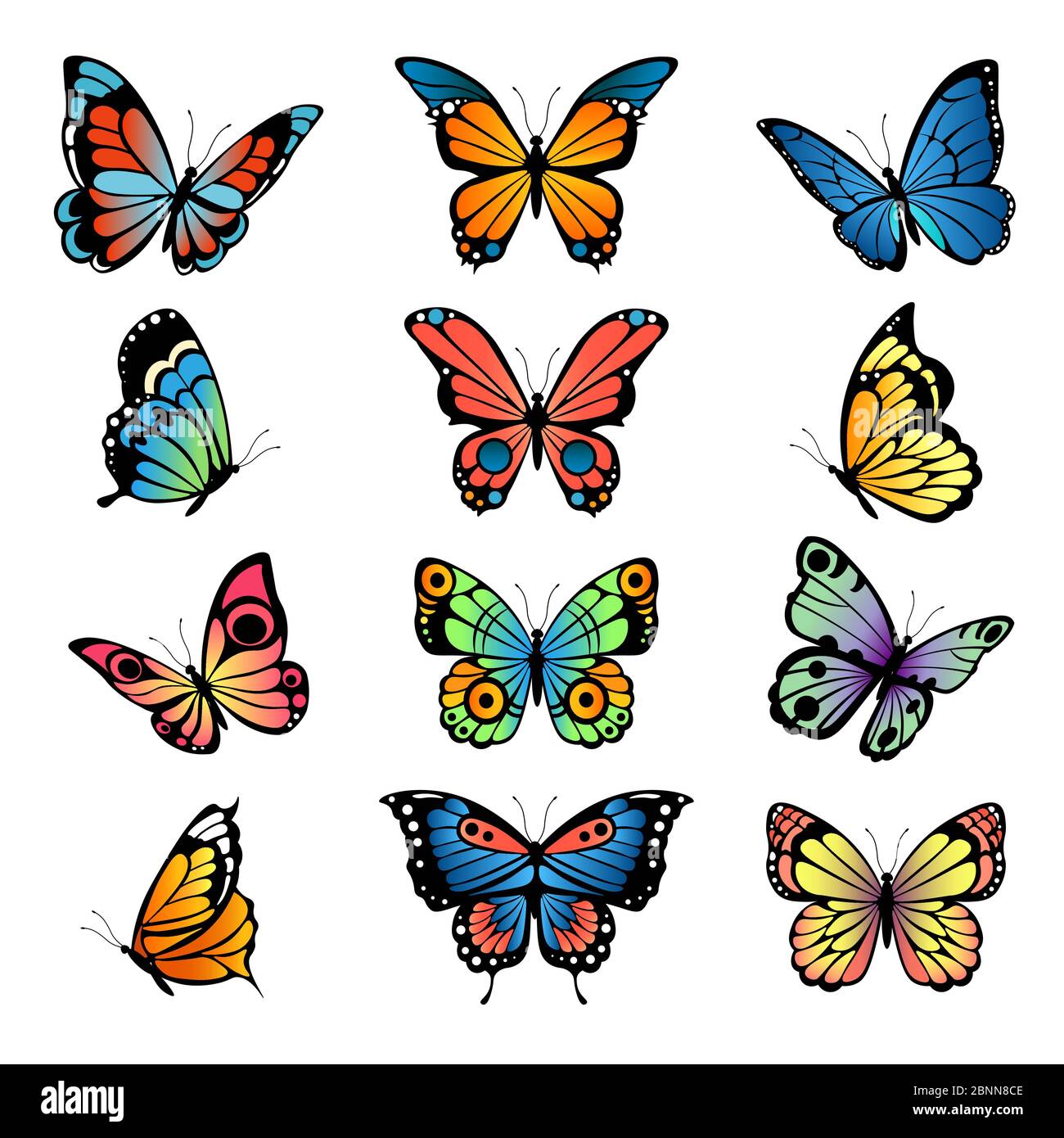Various cartoon butterflies. Set vector illustrations of butterflies ...