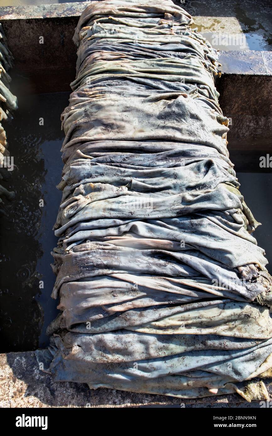 Tannery leather drying up, Morocco Stock Photo - Alamy