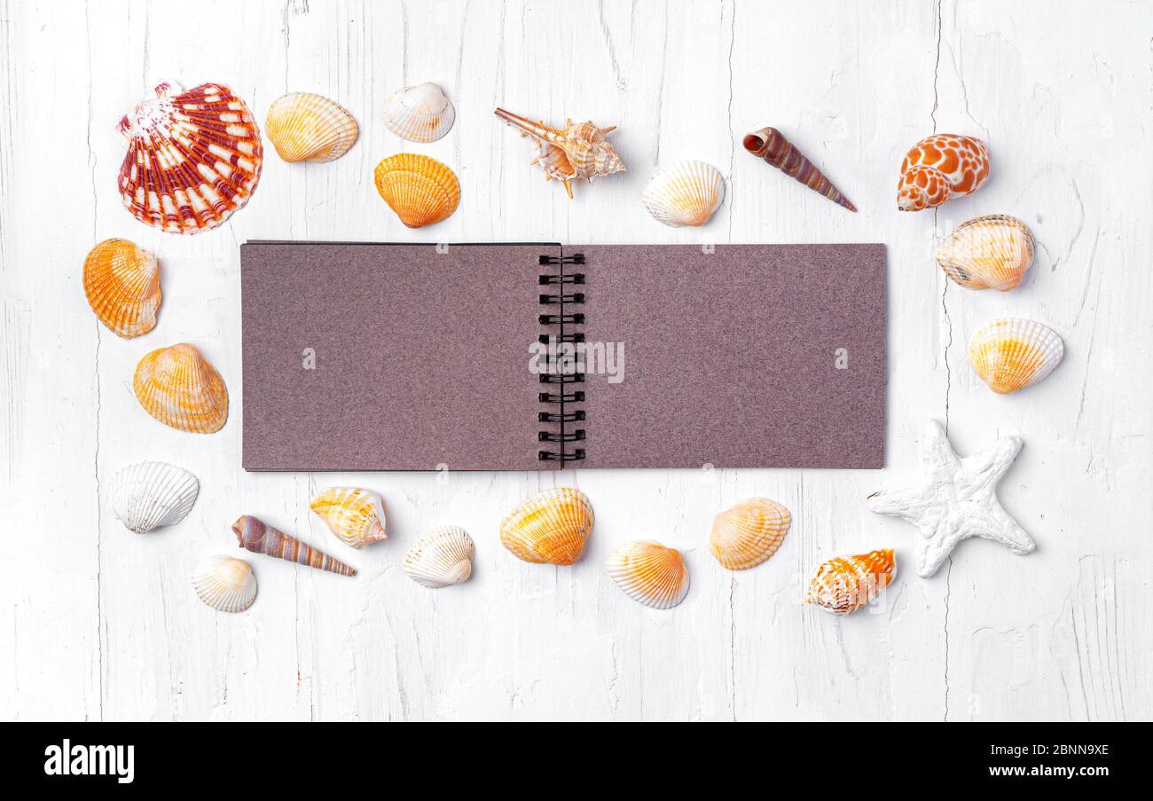 Open notepad with sea shells on white wooden background Stock Photo - Alamy
