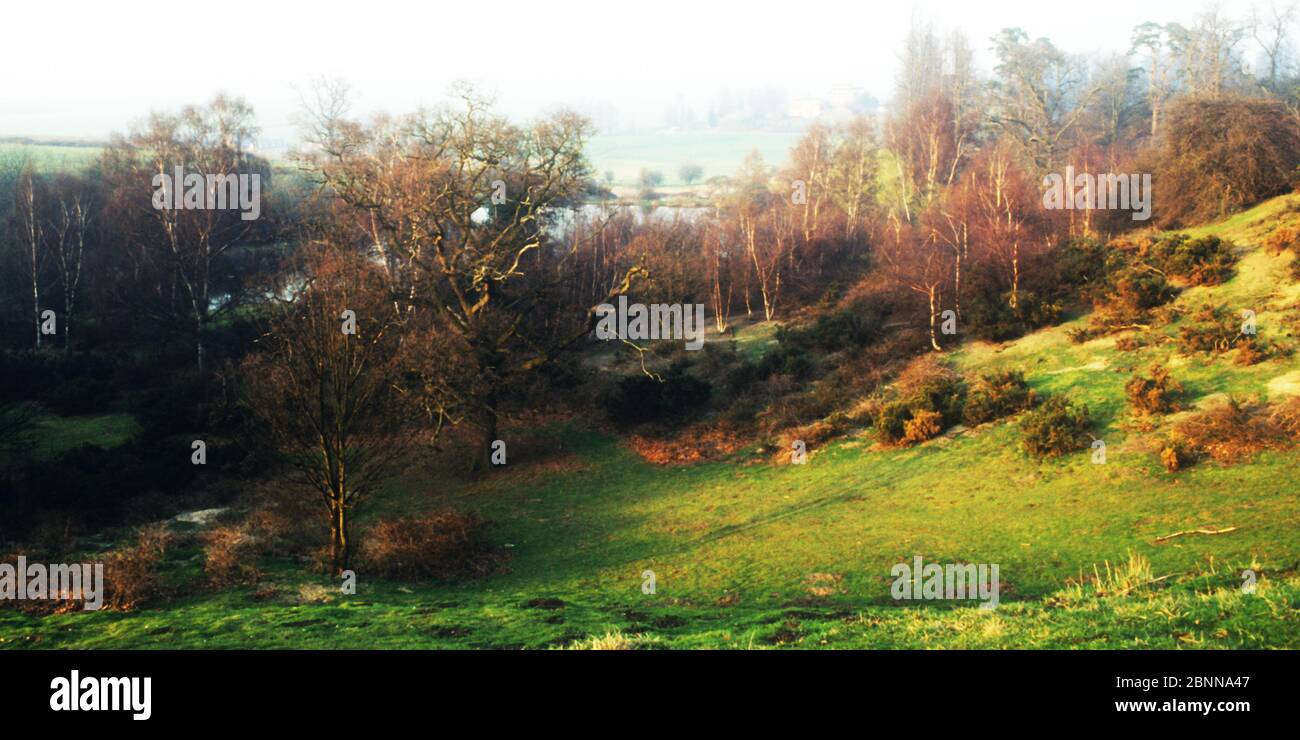 Ampthill Park winter view from the Green Sand Ridge designed by ...
