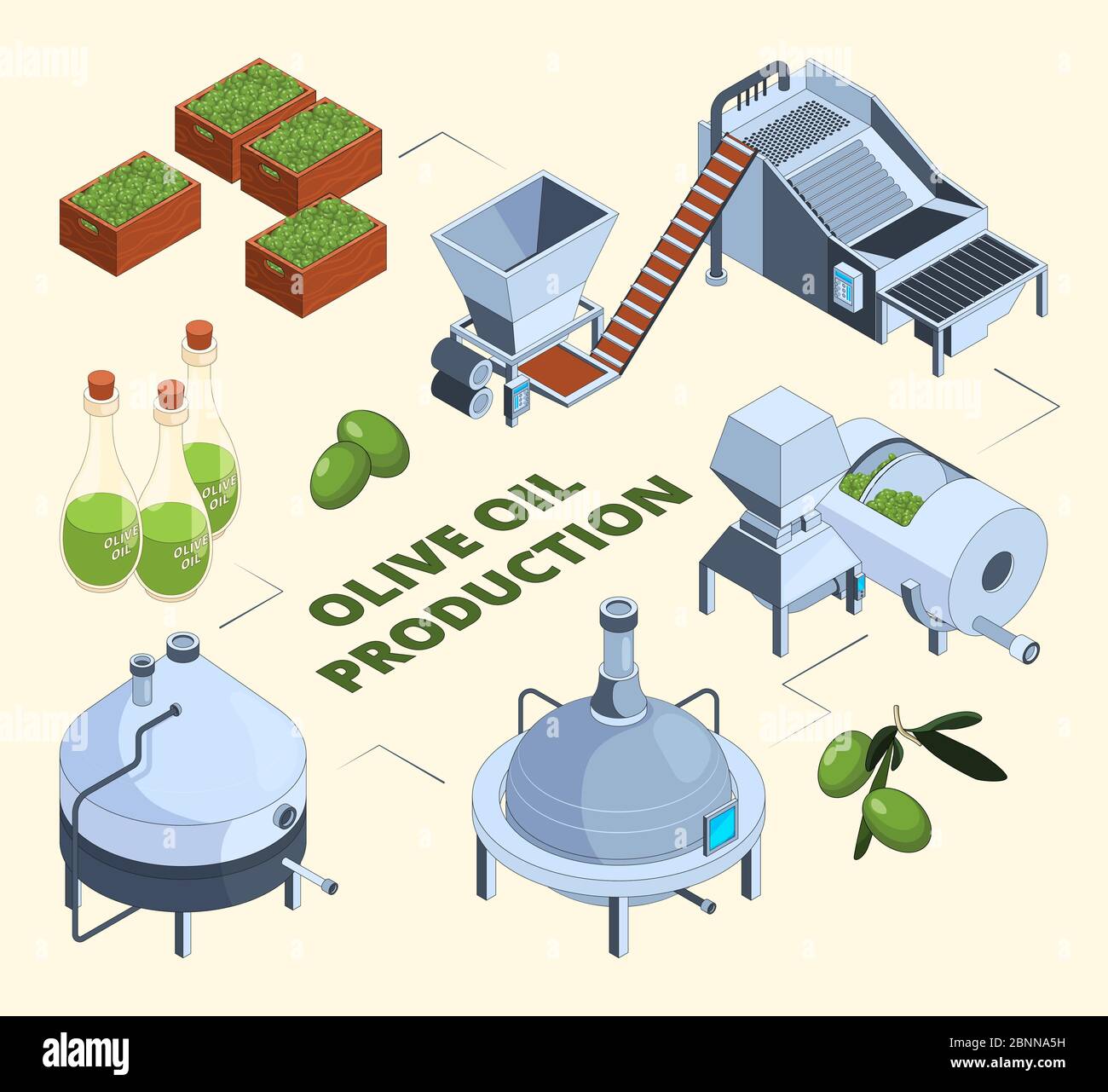 Olive manufacturing. Oil production processes plant food press industry ...
