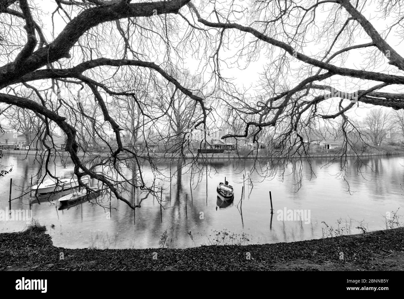 Idyll on the Havel, river, autumn, winter, Brandenburg an der Havel ...