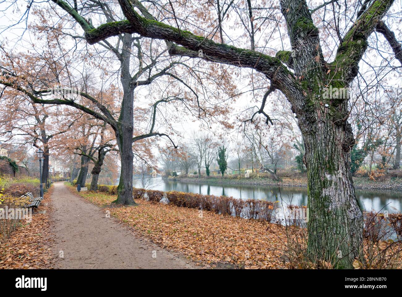 Idyll on the Havel, river, autumn, winter, Brandenburg an der Havel ...