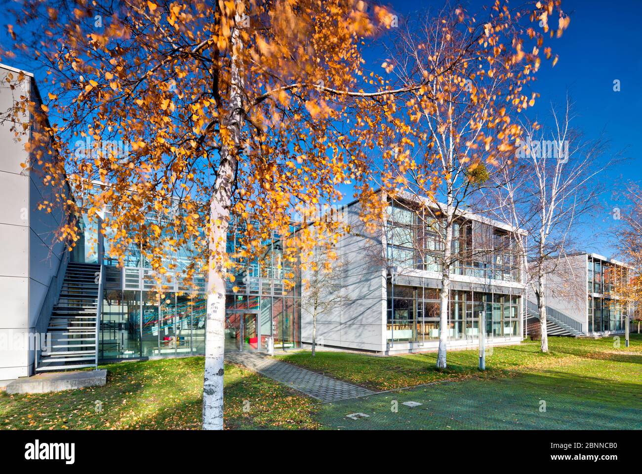 Bauhaus building Dessau, Bauhaus, Dessau-Roßlau, Saxony-Anhalt, Germany ...