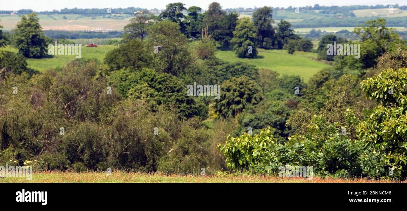 Ampthill park hi-res stock photography and images - Alamy