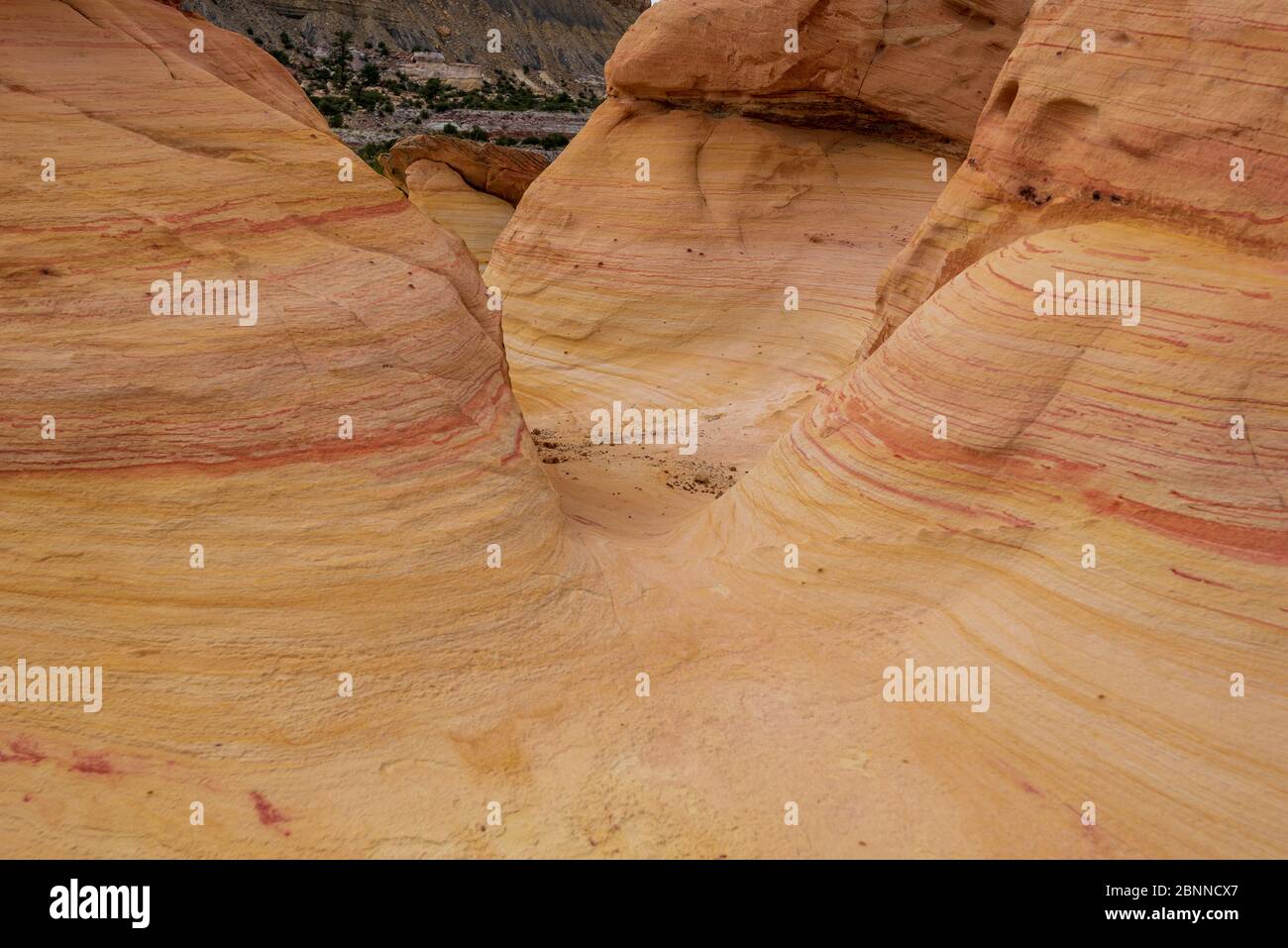Close up landscape of striped conical rock formations in New Mexico ...