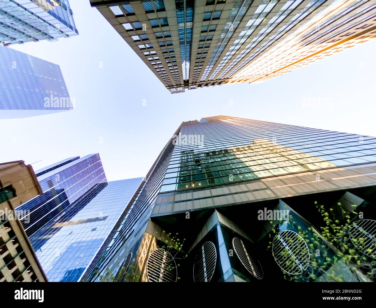 Upward view of chicago skyscraper busnesses and tall office buildings ...