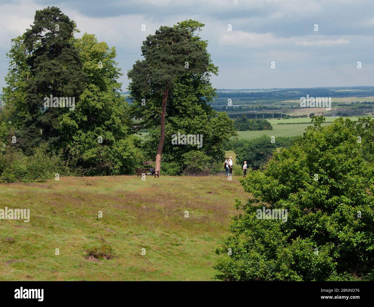 A man-made terrace along the Green Sand Ridge is part of the Capability ...