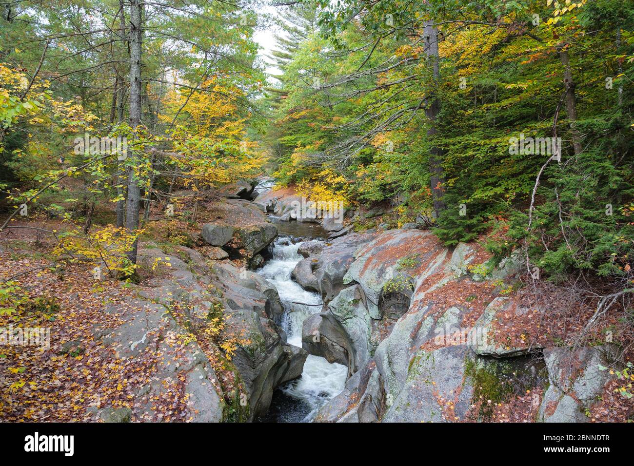 Sculptured Rocks Natural Area in Groton, New Hampshire during the ...
