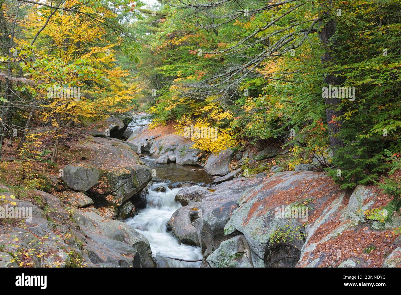 Sculptured Rocks Natural Area in Groton, New Hampshire during the ...