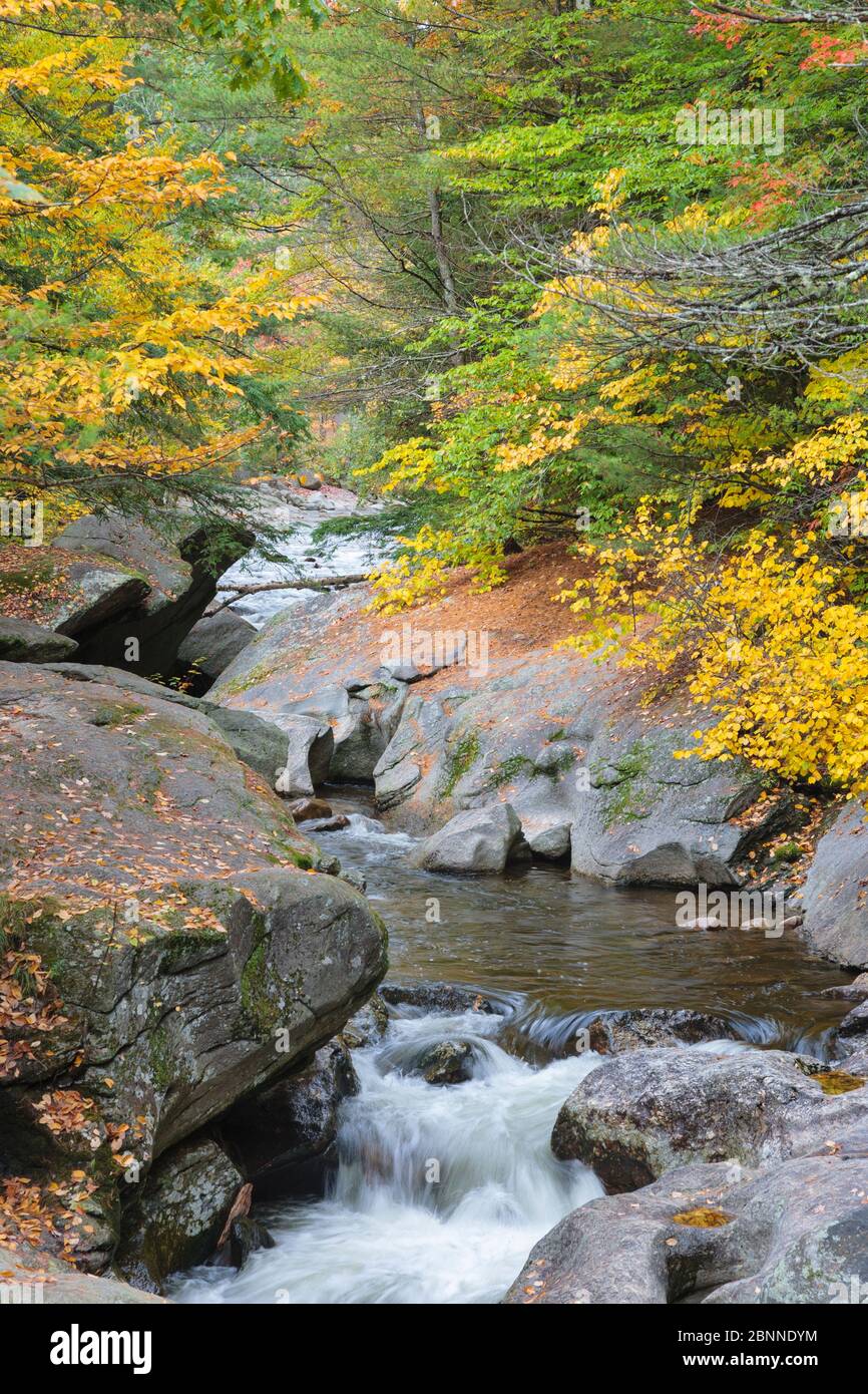 Sculptured Rocks Natural Area in Groton, New Hampshire during the ...