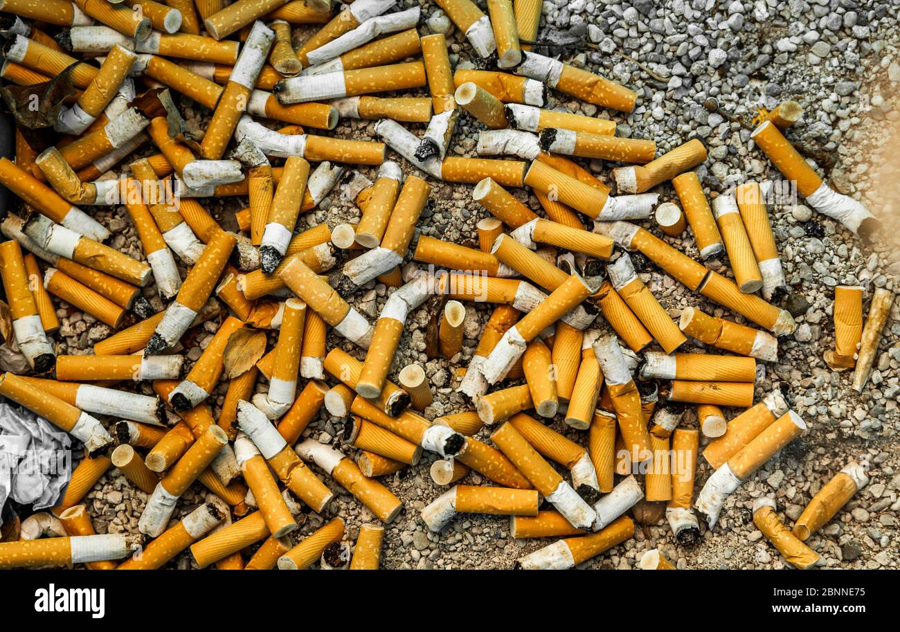 Cigarette butts hi-res stock photography and images - Alamy