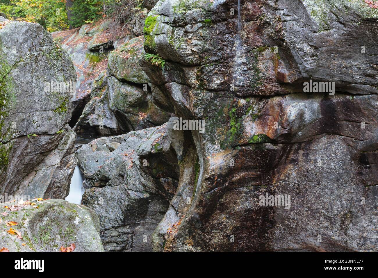 Sculptured Rocks Natural Area in Groton, New Hampshire during the ...