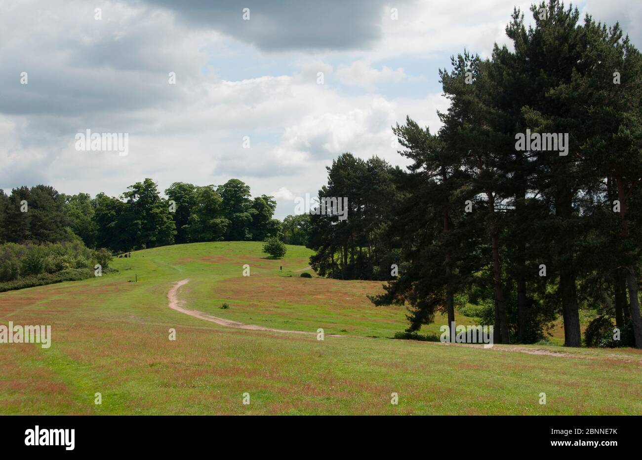 Receding tree clumps hi-res stock photography and images - Alamy