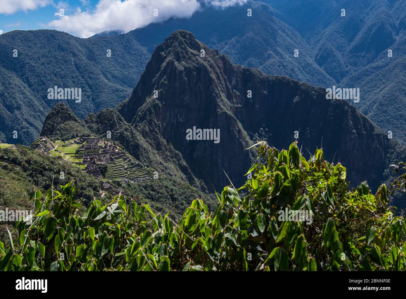 Elevated view of inca ruins, Machu Picchu, Cusco, Peru, South America ...