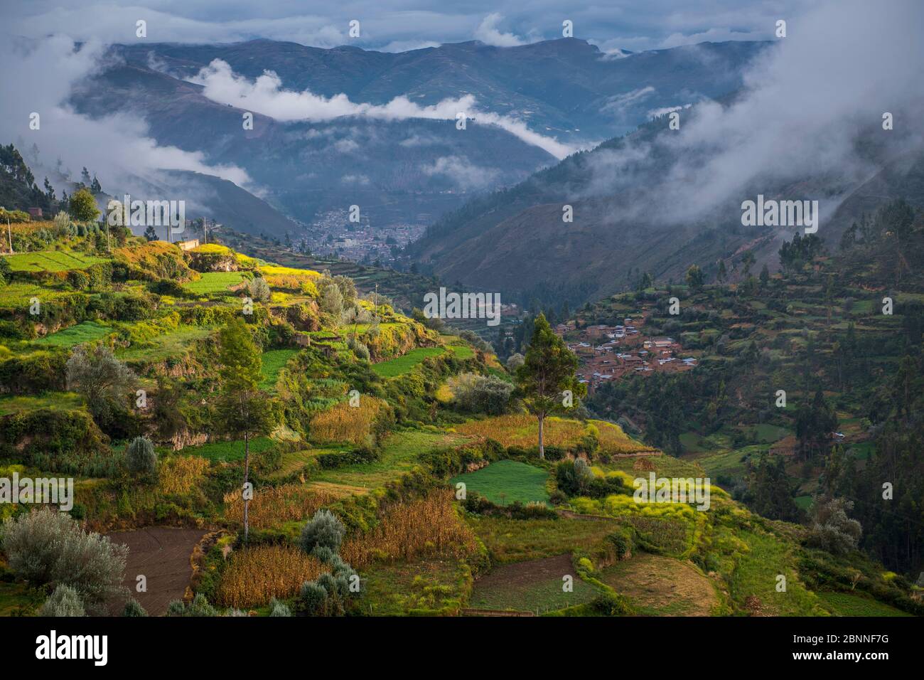 Agricultural terraces above Tarma, Junin, Peru, South America Stock ...