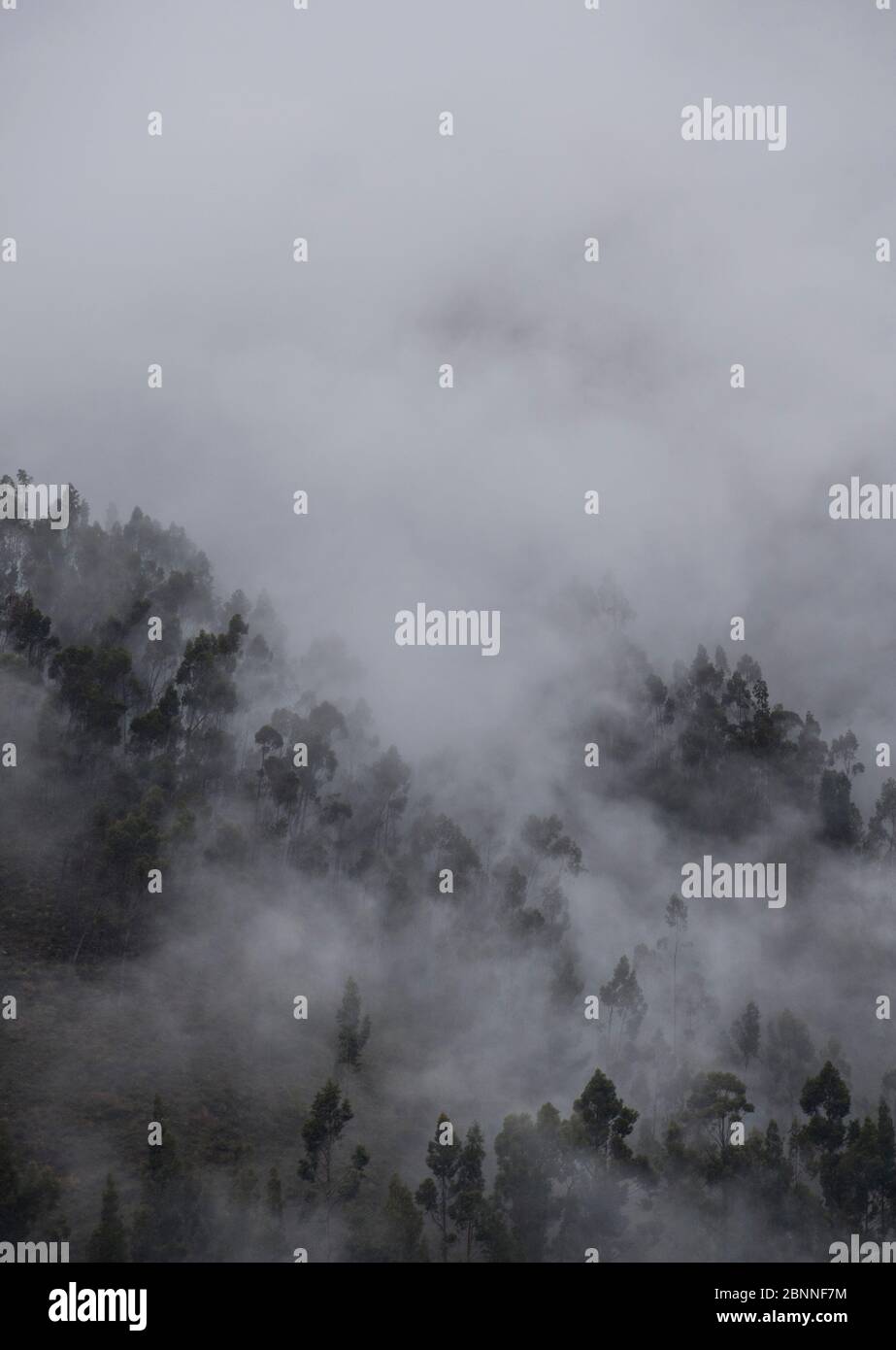 Tarma peru hi-res stock photography and images - Alamy